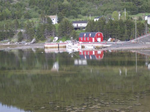 Photo Gallery – Norris Point