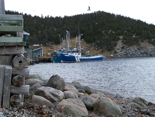 Photo Gallery – Norris Point