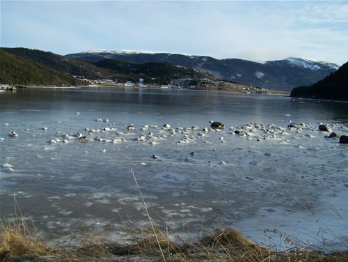 Photo Gallery – Norris Point