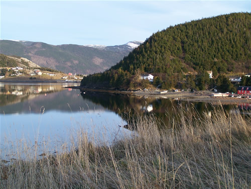 Photo Gallery – Norris Point
